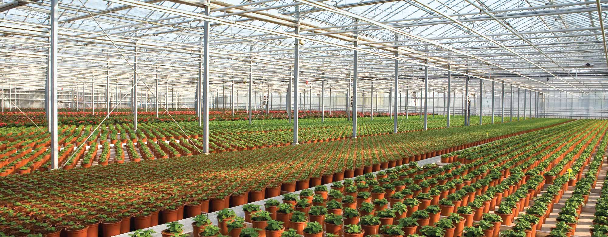 Masterblend International • Premium Fertilizer for Commercial Growing ...