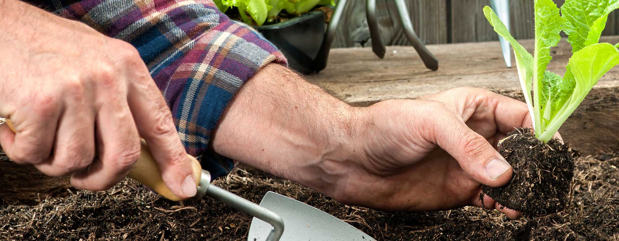 Masterblend International • Premium Fertilizer for Commercial Growing ...