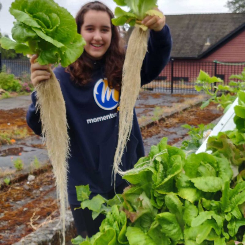 Food Security - from a Pyramid!! • Masterblend International