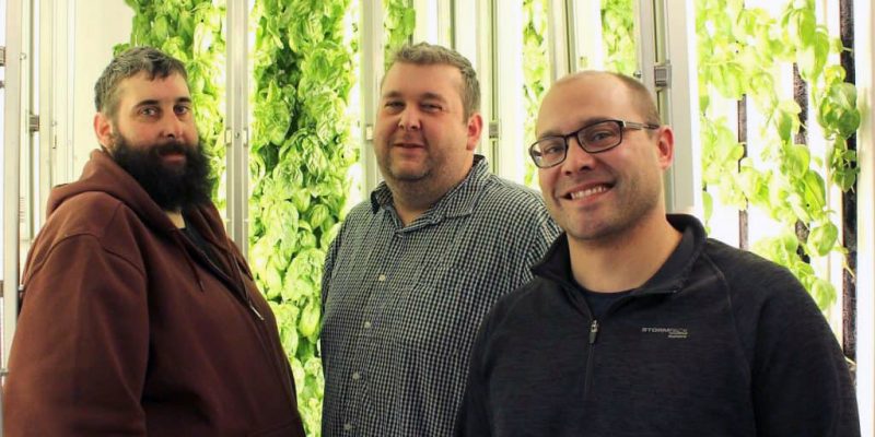 Vertical Farming for the Future • Masterblend International